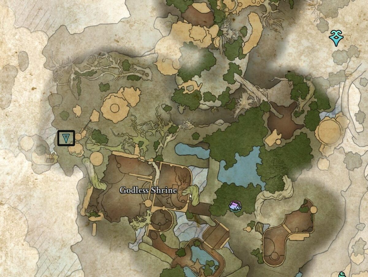 How to get the Wildwalker Set in Avowed: Overview and Stats - VULKK.com