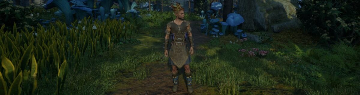 How to get the Wolf Set in Avowed: Overview and Stats - VULKK.com