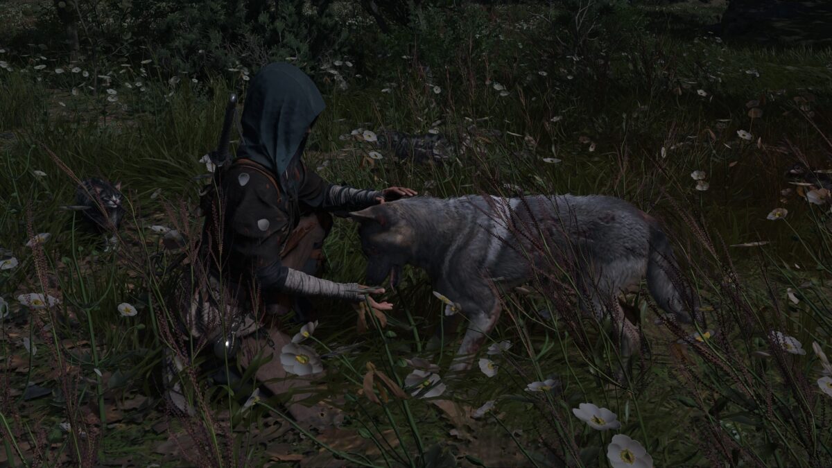 Assassin's Creed Shadows: Thrown to the Dogs Walkthrough - VULKK.com