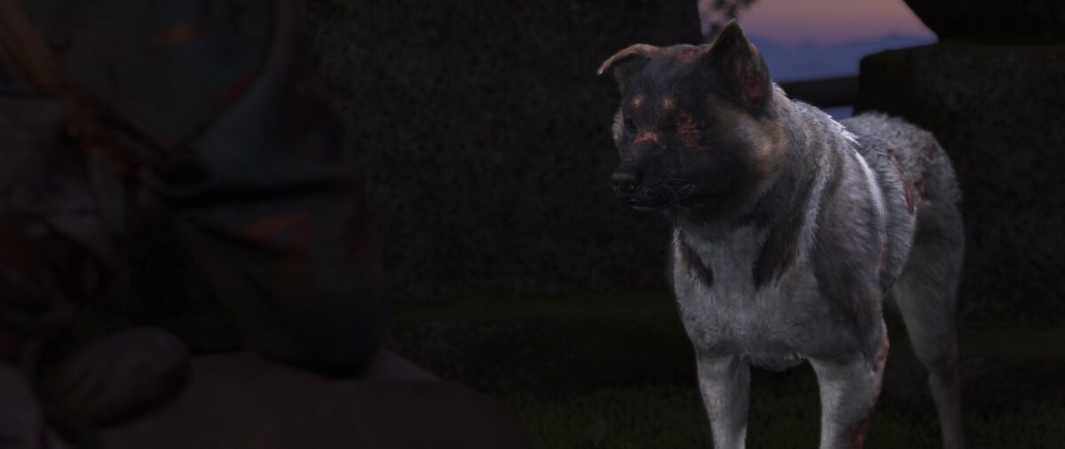 Assassin's Creed Shadows: Thrown to the Dogs Walkthrough - VULKK.com