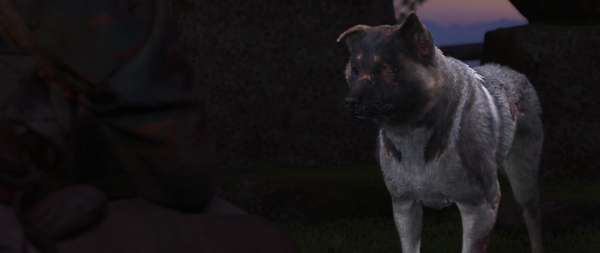 Assassin's Creed Shadows: Thrown to the Dogs Walkthrough - VULKK.com