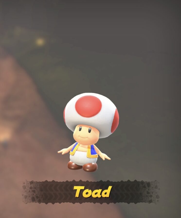 All Unlockable Characters and Costumes in Mario Kart World - VULKK.com