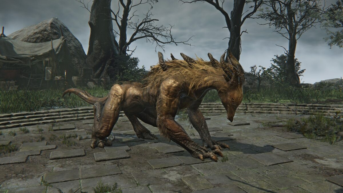 Nightreign Executor Build Guide and Tips - VULKK.com