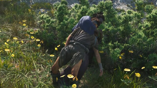 Assassin's Creed Shadows: A Puzzlement Walkthrough - VULKK.com